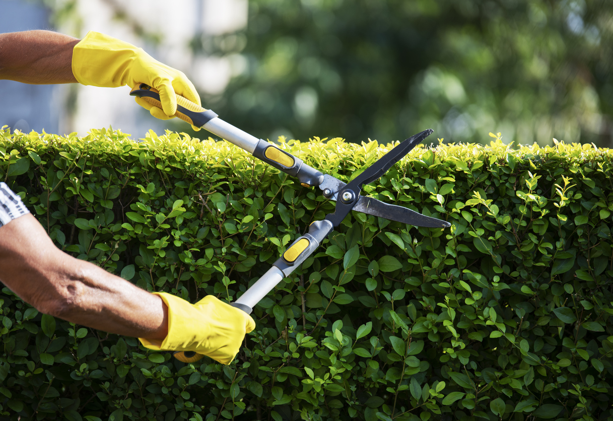 AR Professional Property Preservation | Contractors | IN